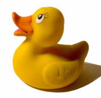 Il giro del papero - Comunità Pastorale - San Paolo VI Cesate